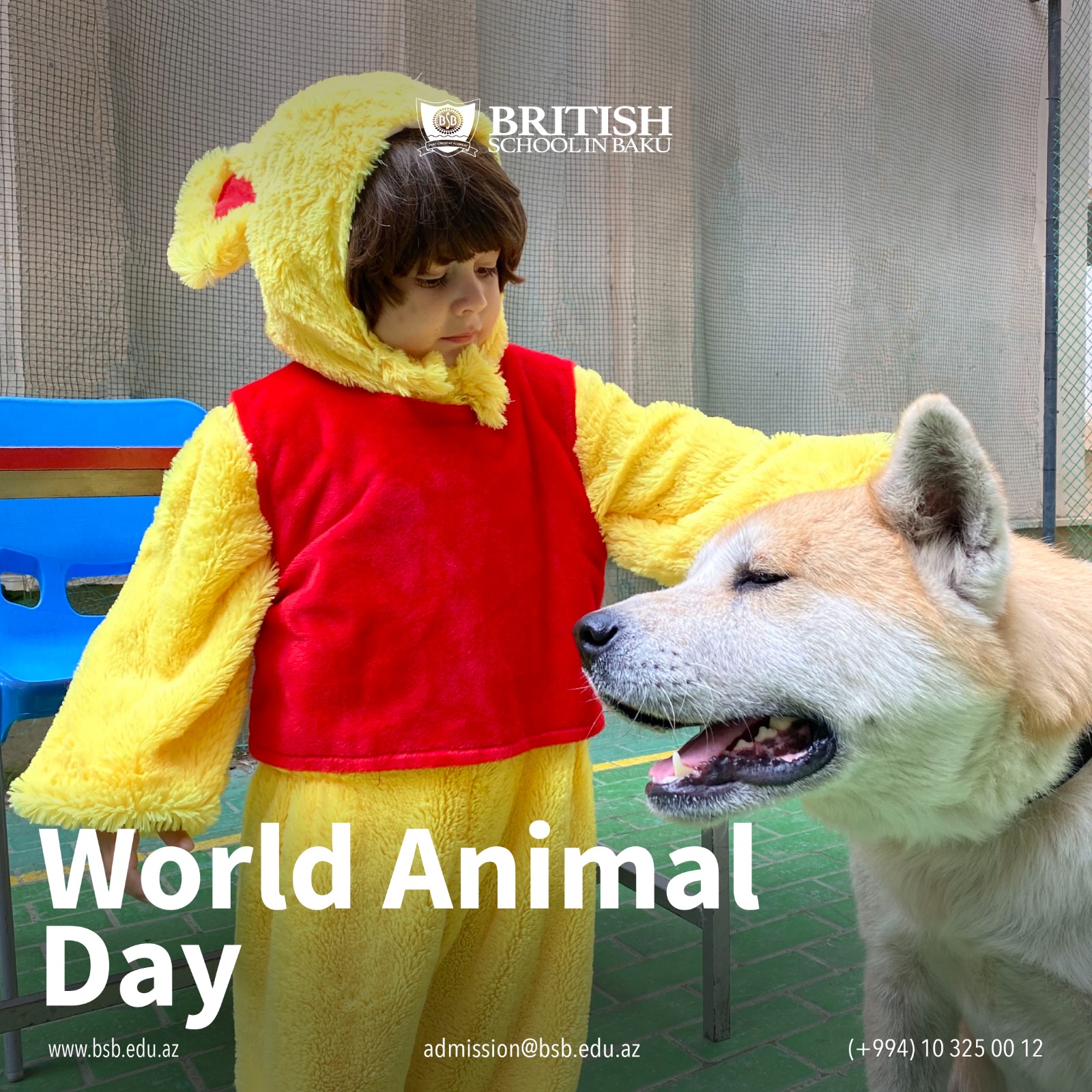 World Animal Day: Celebrating and Protecting Our Fellow Earthlings ...